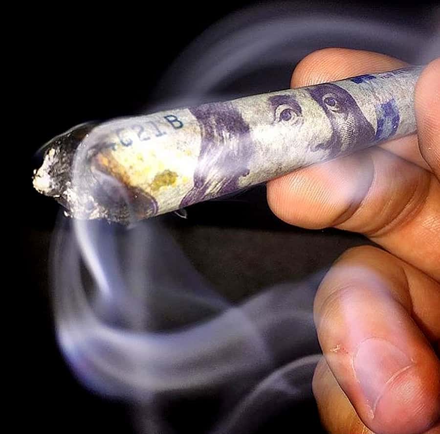 Empire Rolling 100 Dollar Bill Rolling Paper NoveltyStreet Empire Rolling 100 Dollar Bill Rolling Paper NoveltyStreet