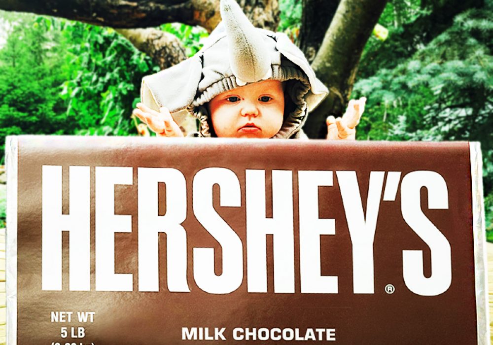 hershey-s-5-pound-milk-chocolate-bar-noveltystreet